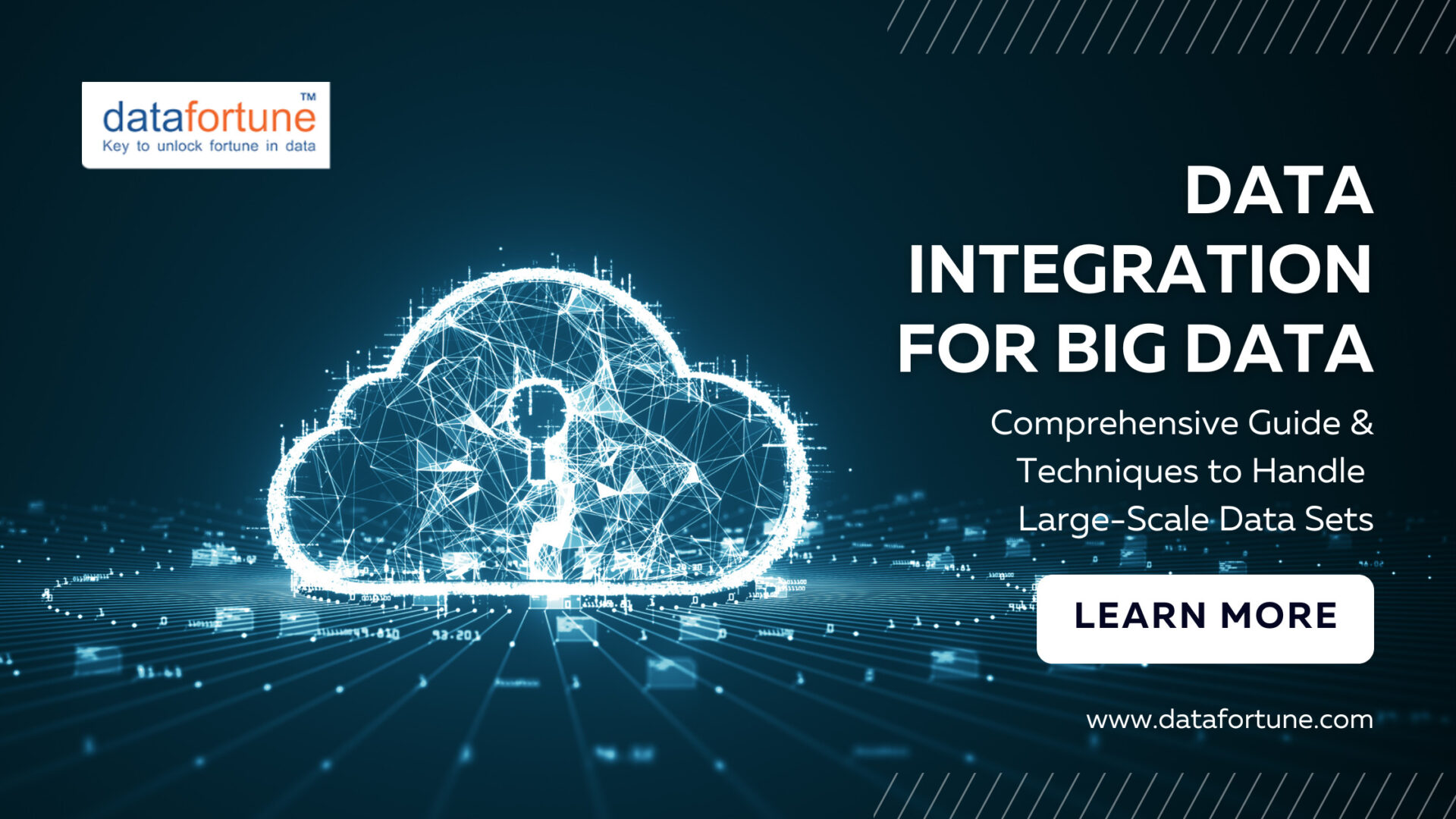 Datafortune | Data Management | Custom App Development