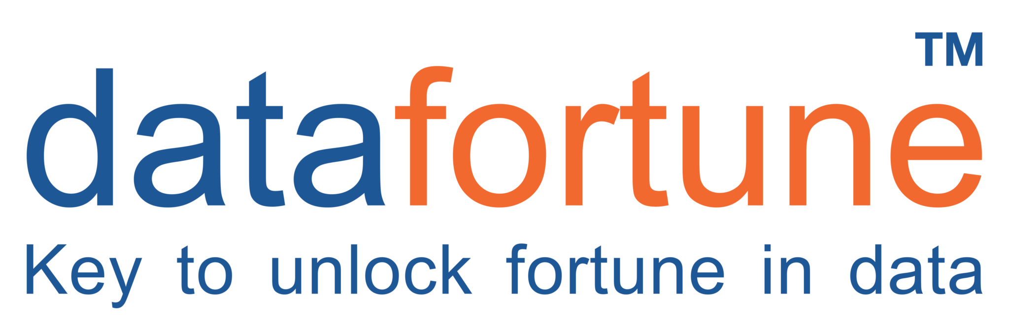 Datafortune | Data Management | Custom App Development